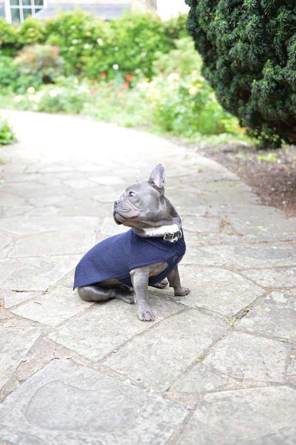 Cute final images with Models Direct! – Models Direct