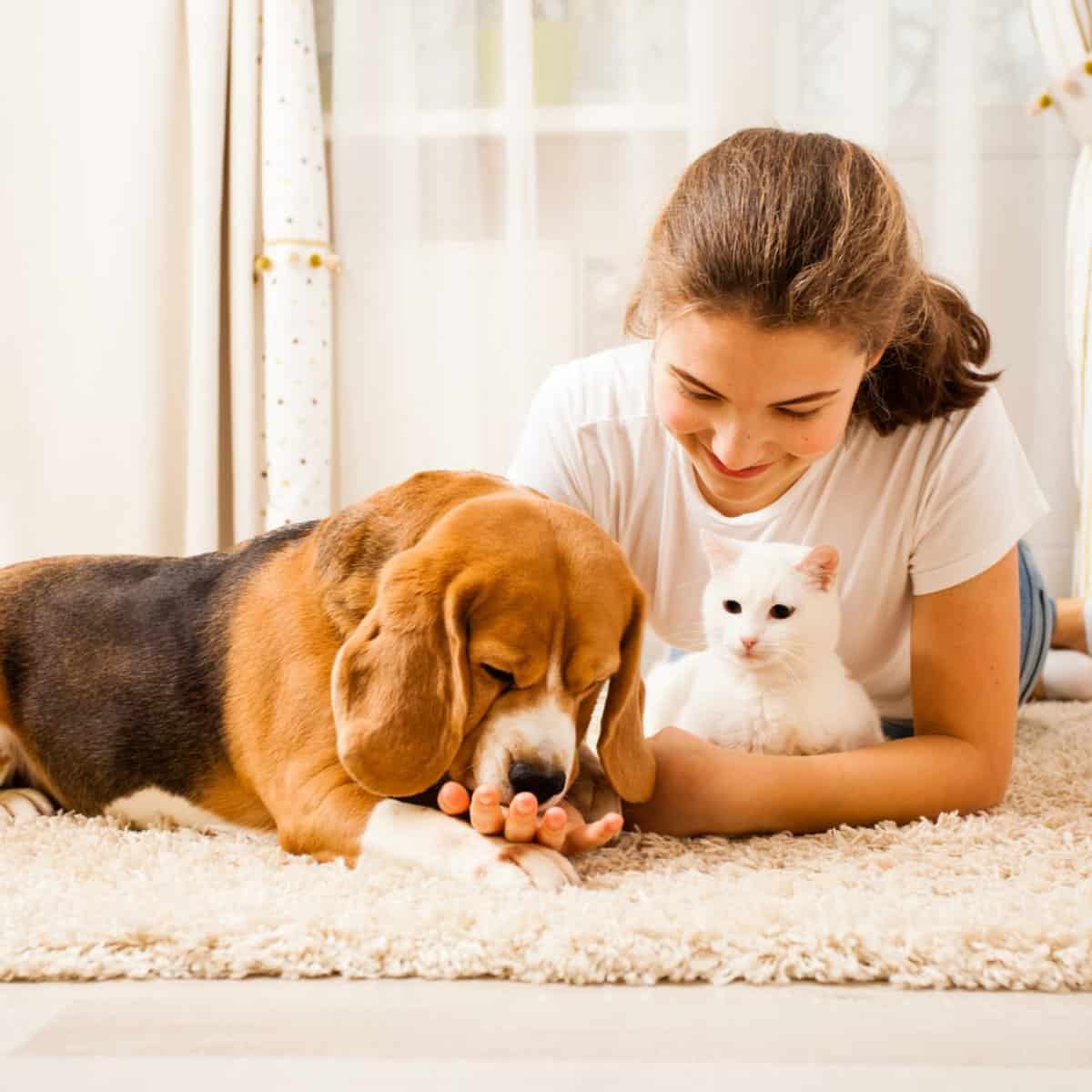 Starpets – what makes a model pet? – Models Direct